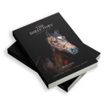 Home - Stallion AI Services