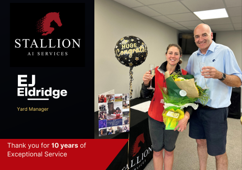 Home - Stallion AI Services