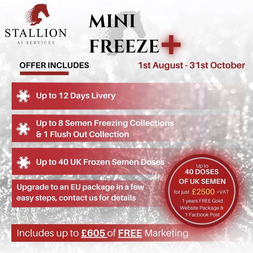 SPECIAL OFFER - Mini Freeze and Mini Freeze