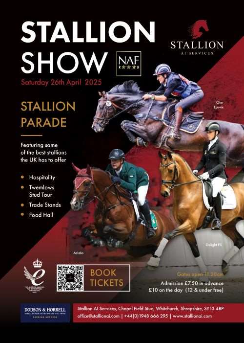 Home - Stallion AI Services