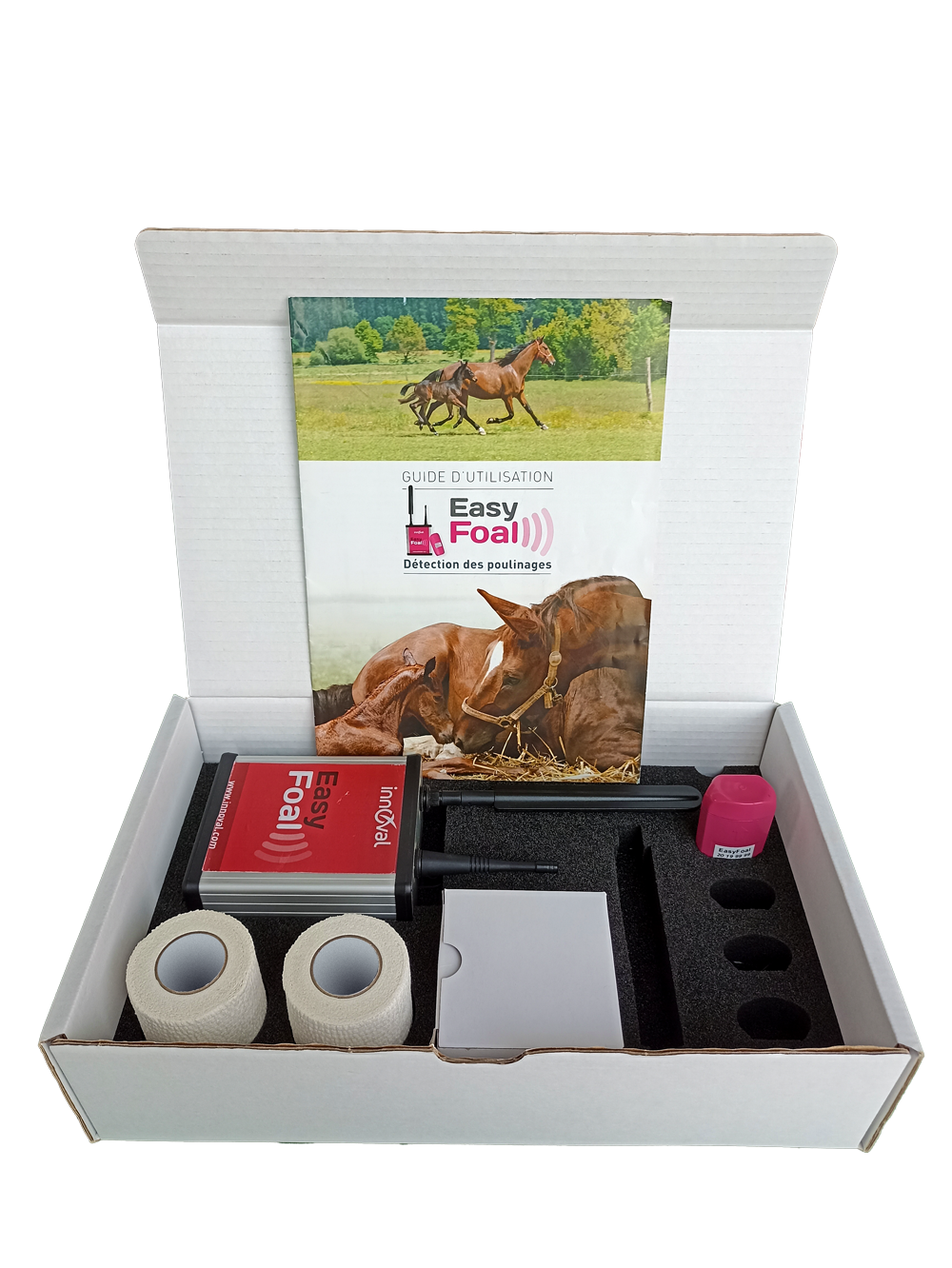 Easyfoal Kit Indoor