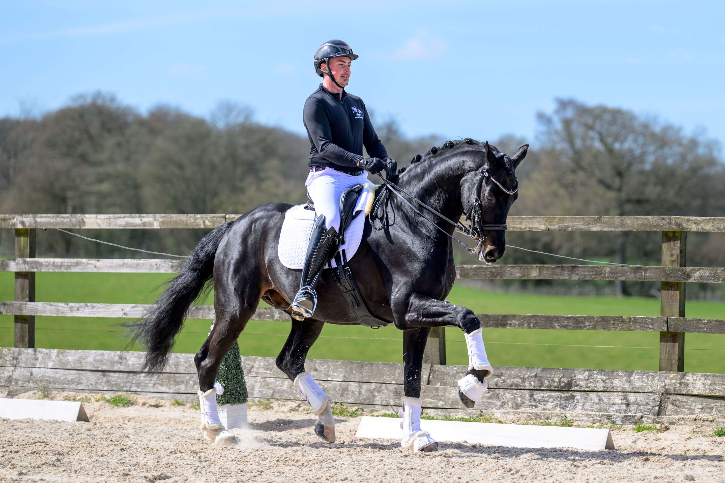 Bulgari Dream Stallion