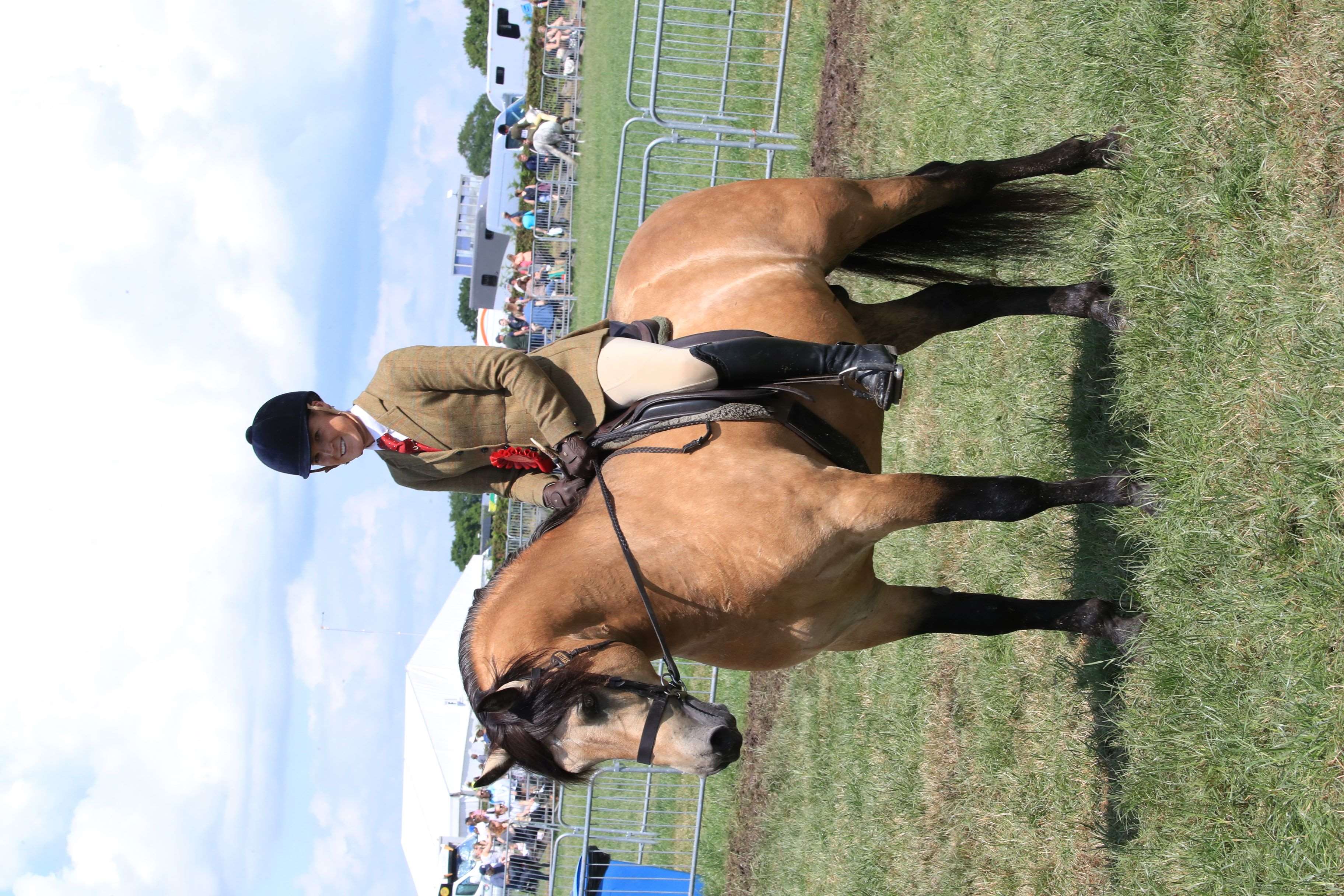 Rosscon Emperor Stallion