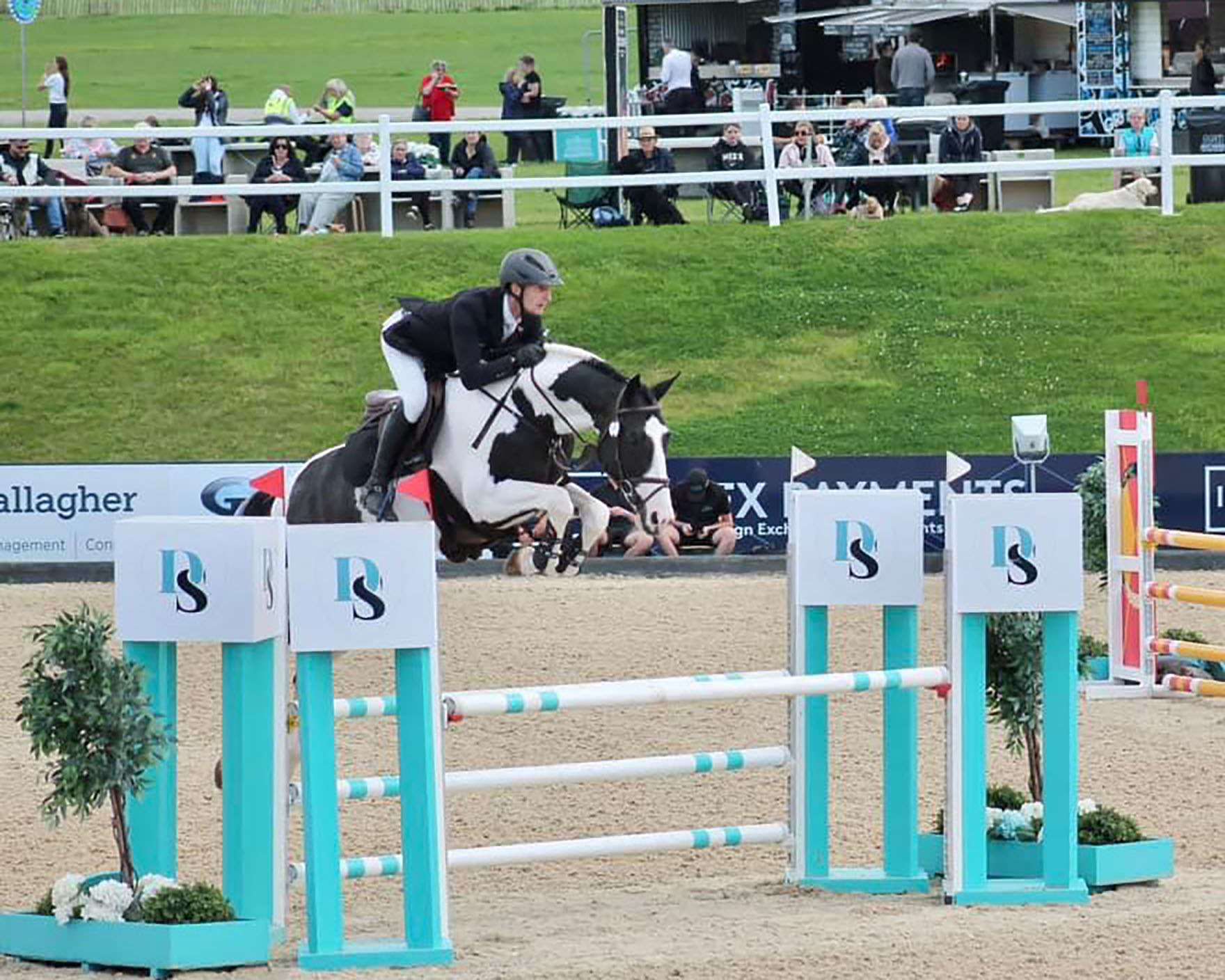 High Offley The Colour Of Money Stallion