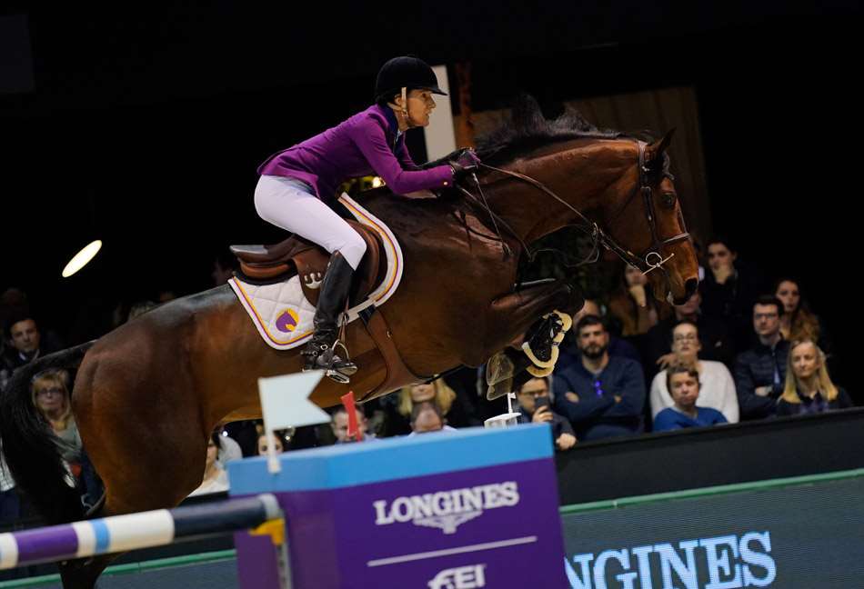 Chacco Blue II Stallion