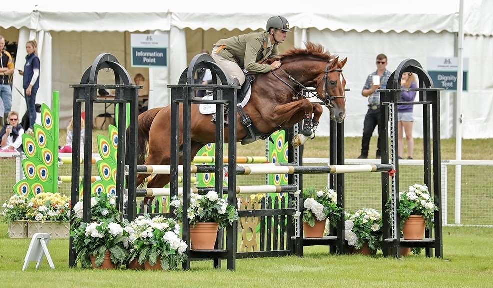 Headleys Deluxe Stallion