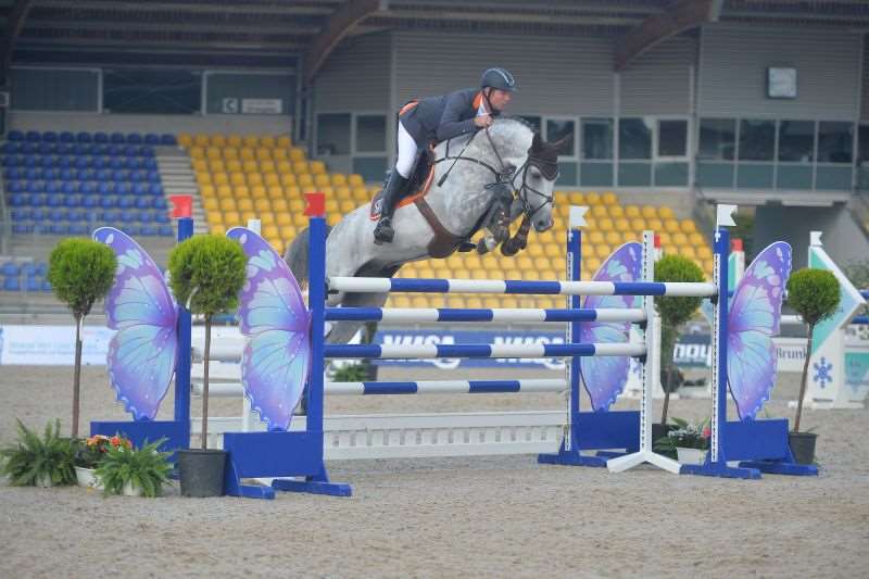 Chacoon Blue Stallion