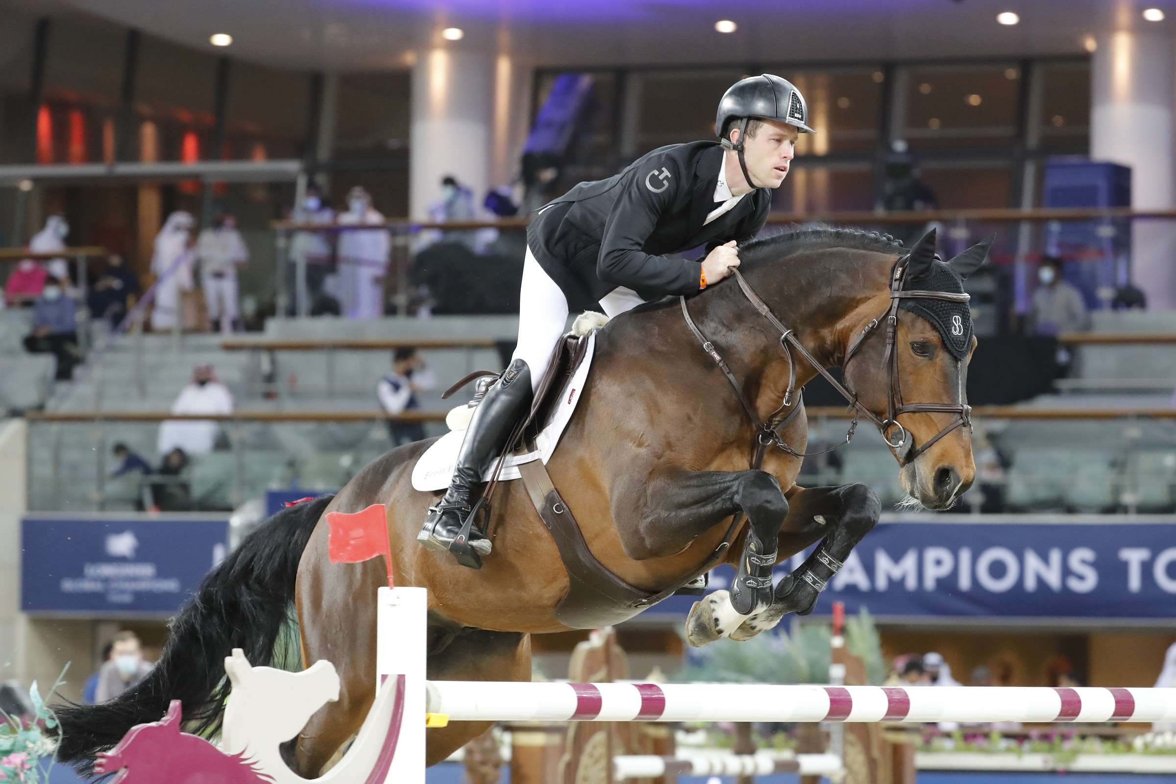 Hello Vincent Stallion