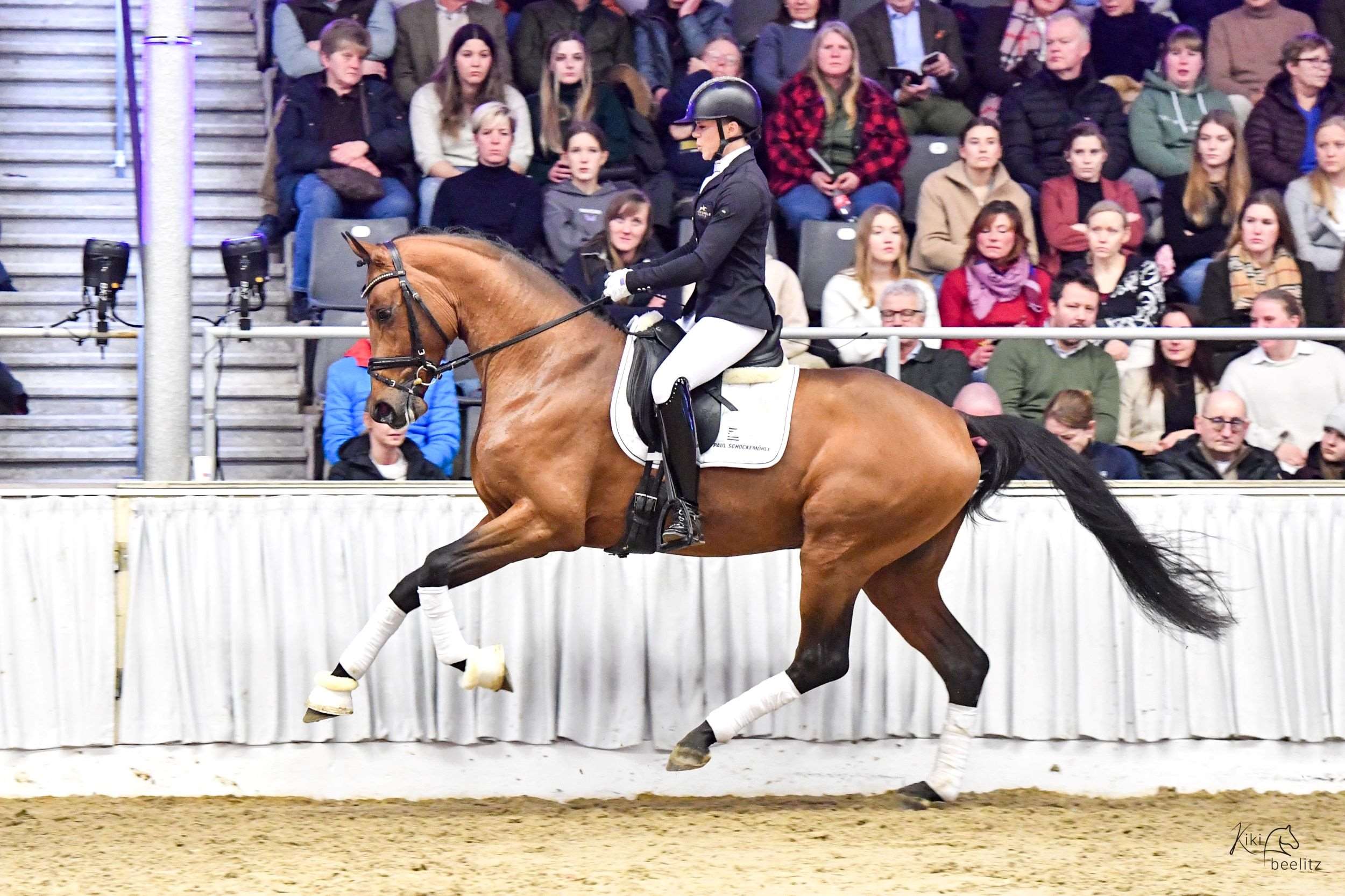 Delight PS Stallion