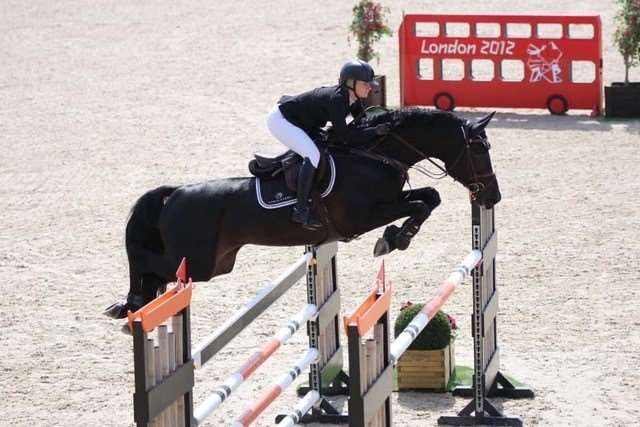 Copain Du Perchet CH Stallion