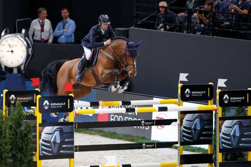 All Star Stallion