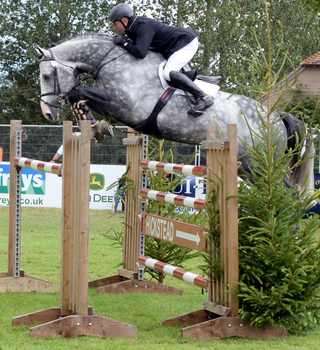 Cassini's Chaplin Stallion