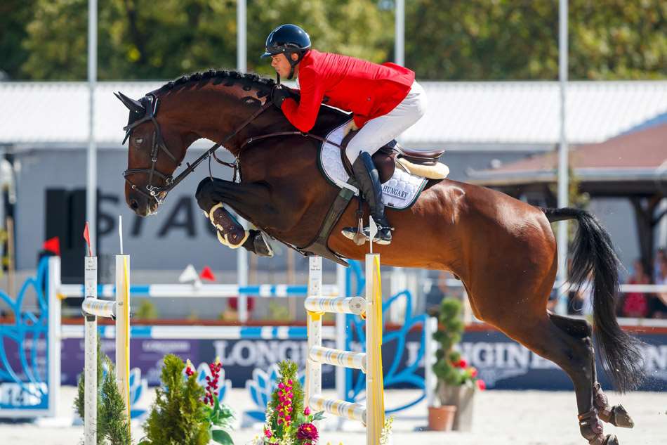 Chacco Blue II Stallion