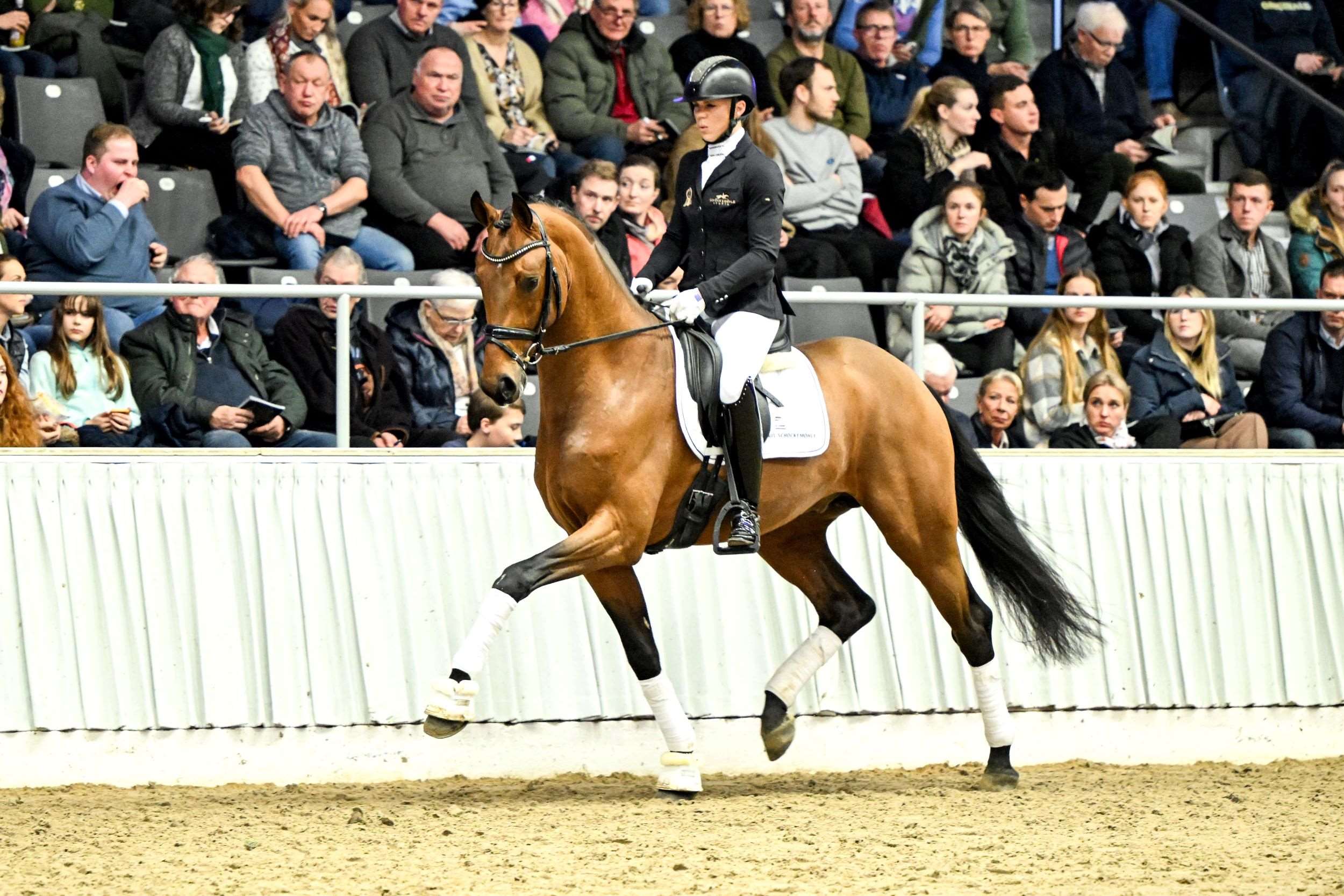 Delight PS Stallion