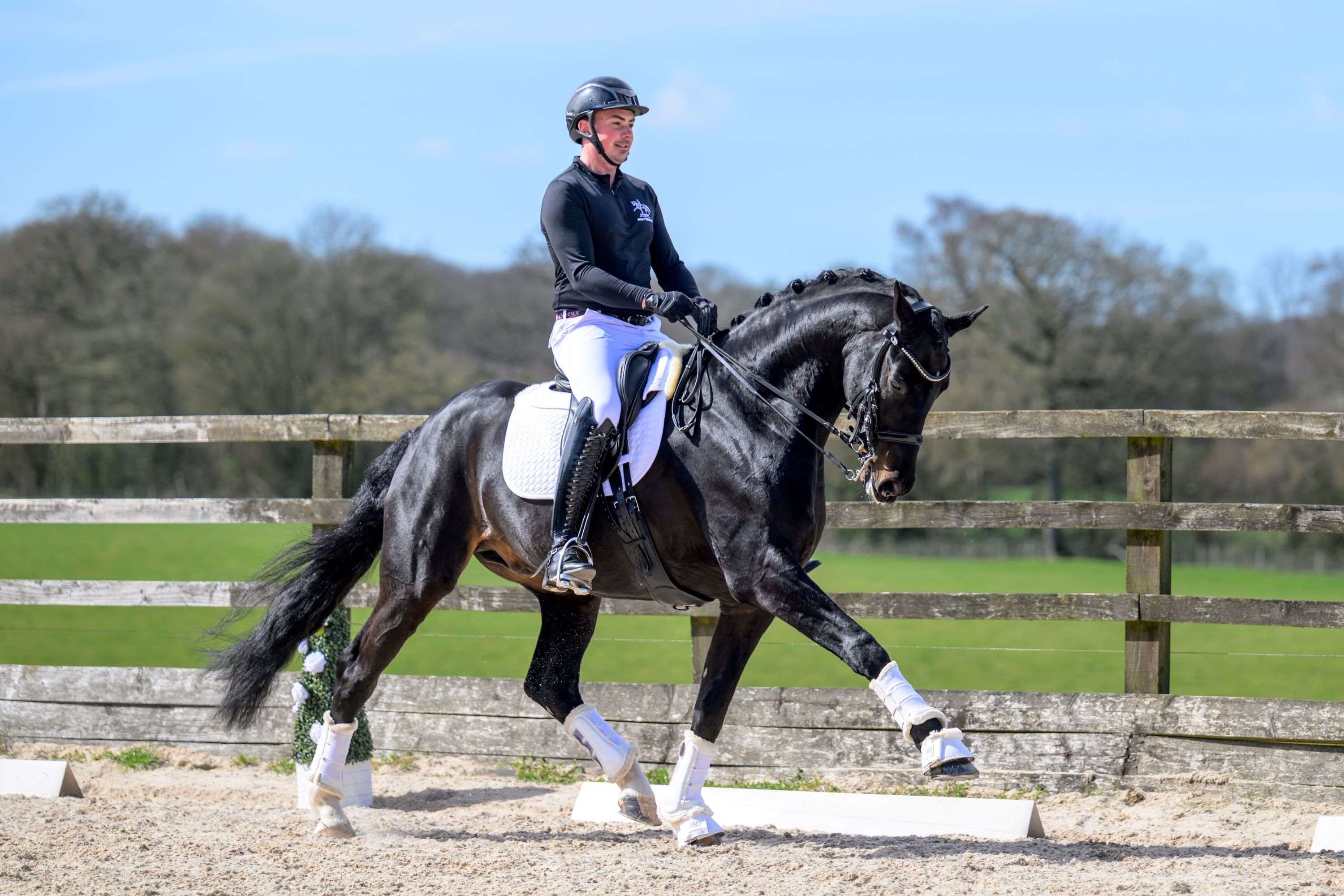 Bulgari Dream Stallion