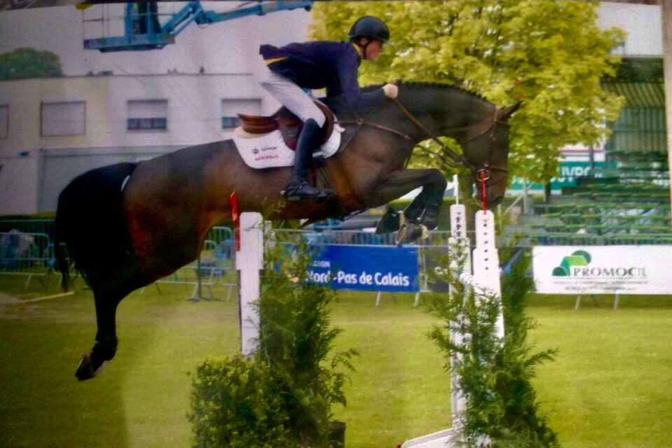 Freestyle Van De Wolfsakker Stallion