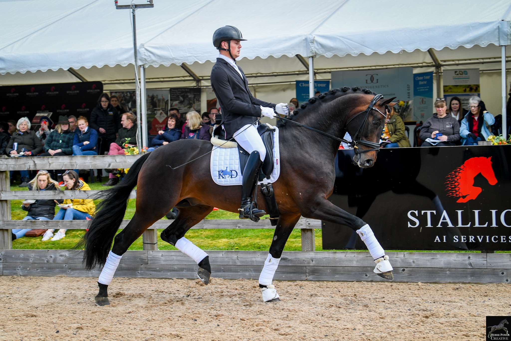 biography a unique opportunity to breed from a van olst stallion based ...