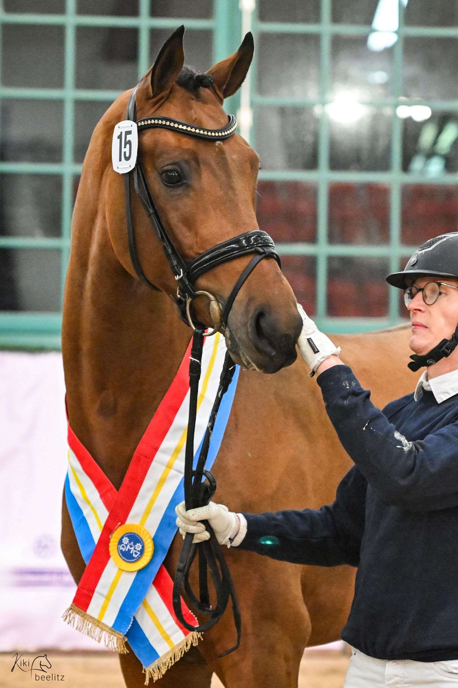 Delight PS Stallion