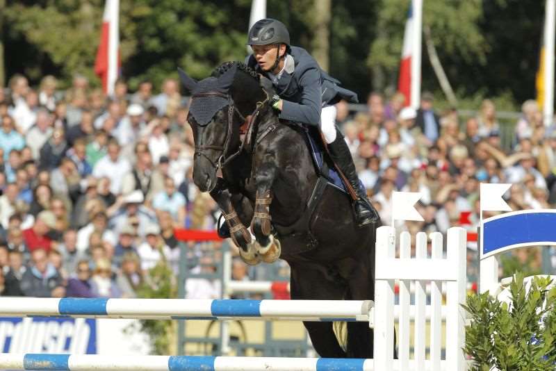 Diarado Stallion