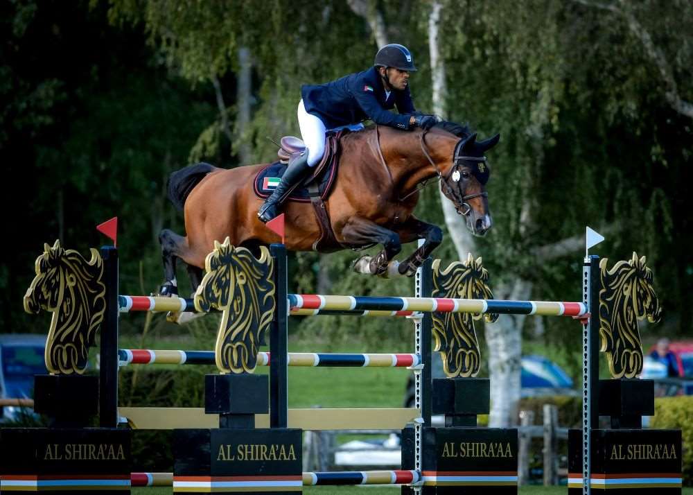 Tsunami De Hus Stallion