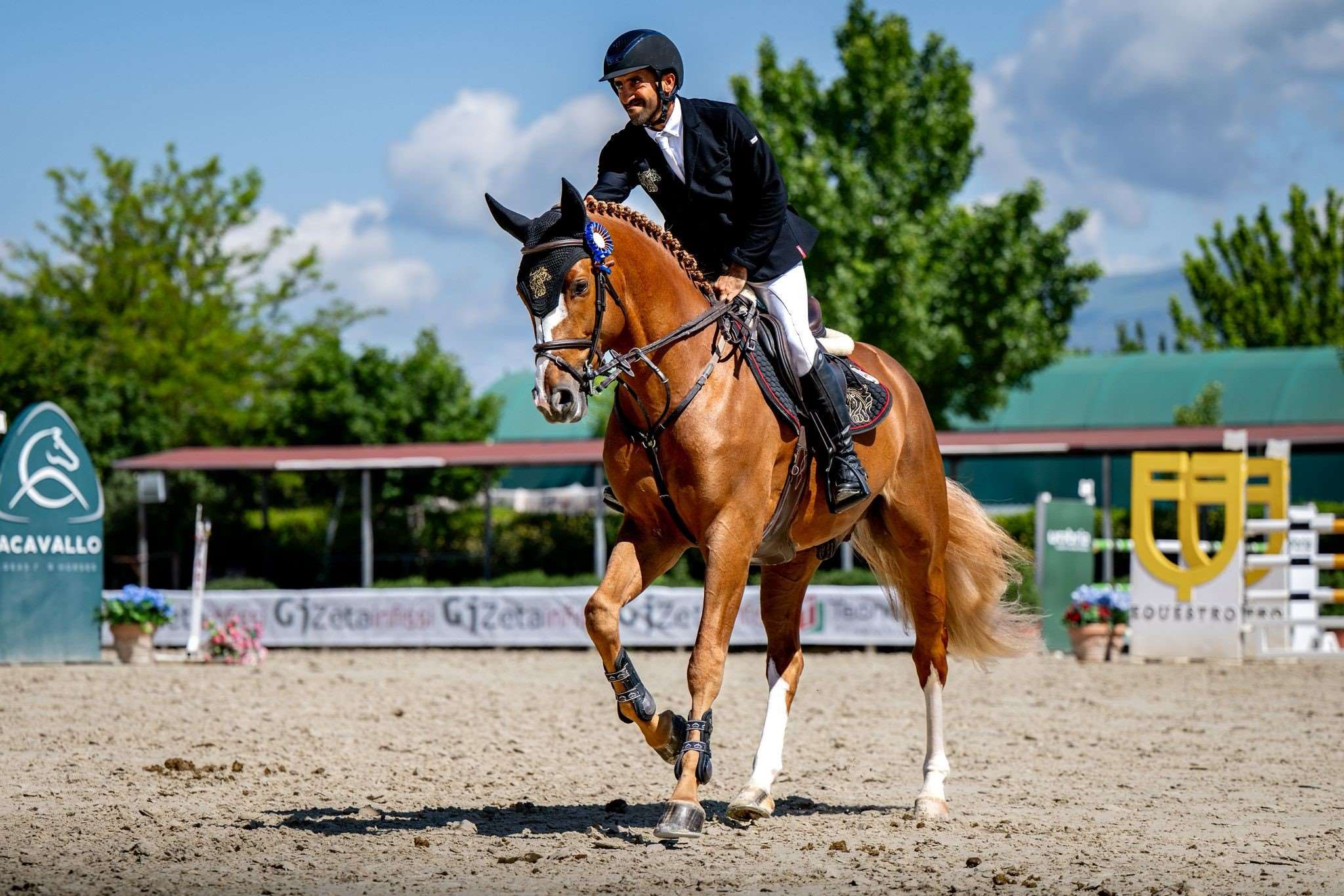 biography breaking news troy z will be available for fresh and chilled ...