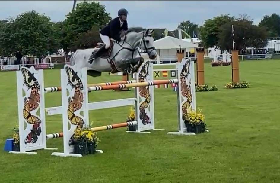 Gravity - Stallion AI Services - Annabel Mathie